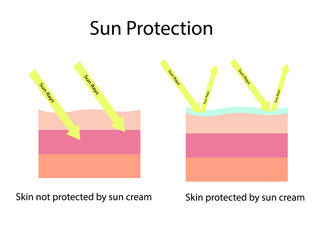 Broad Spectrum Vector Images (over 100)