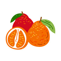 Mandarin Orange Vector Images (over 6,600)