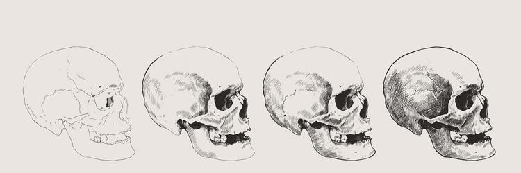 Human Head Line Drawing Vector Images (over 14,000)