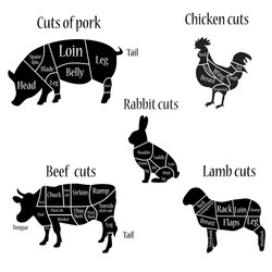 Butcher chart Royalty Free Vector Image - VectorStock