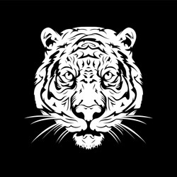 White Tiger Vector Images (over 15,000)