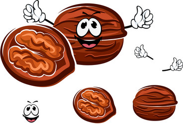 Walnut Cartoon Vector Images (over 2,600)