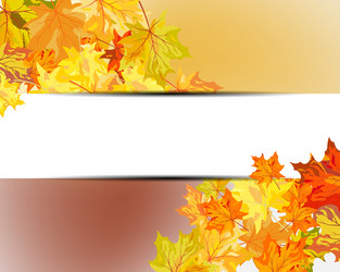 Wooden sign with autumn maple tree leaves Vector Image