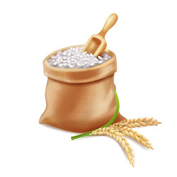 Rice collection bags Royalty Free Vector Image