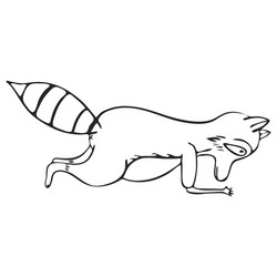 Raccoon Outline Vector Images (over 1,800)