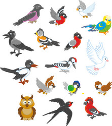 Birds Royalty Free Vector Image - VectorStock