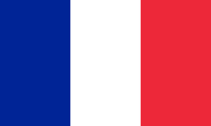 France flag graphic rectangle french Royalty Free Vector