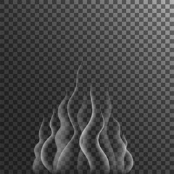 Hot food steam on transparent background Vector Image