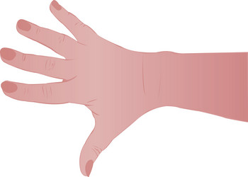 Hands realistic gestures human palms and fingers Vector Image