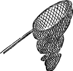 Catching net Royalty Free Vector Image - VectorStock