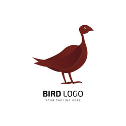 Partridge Vector Images (over 580)