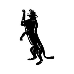 Mowgli Vector Images (over 110)