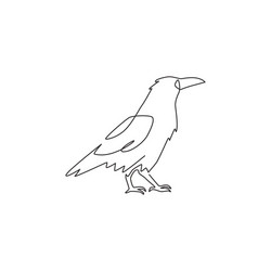 One single line drawing mysterious raven Vector Image