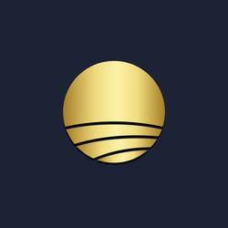 Square shape shine gold logo Royalty Free Vector Image