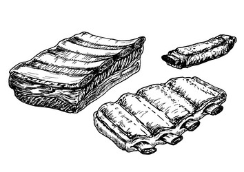 Raw meat drawing set hand drawn beef steak Vector Image
