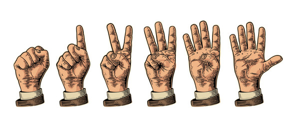 Set of gestures of hands counting from zero Vector Image