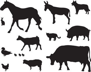 Farm animals Royalty Free Vector Image - VectorStock