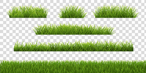Green grass frame and white background Royalty Free Vector