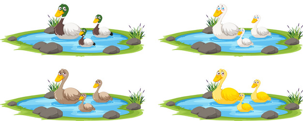 Duck Pond Clipart Vector Images (over 250)