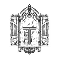 Cat in night window sketch Royalty Free Vector Image