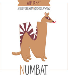 Alphabet letter n and numbat Royalty Free Vector Image