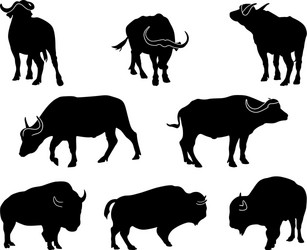 Buffalo Vector Images (over 40,000)