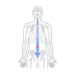 Spine Back Pain Diagram Vector Images (over 160)