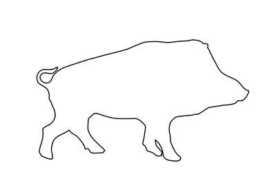 Warthog line contour silhouette Royalty Free Vector Image