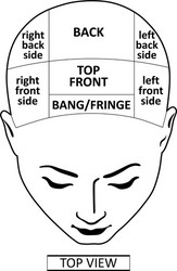 Man head divisions scheme Royalty Free Vector Image