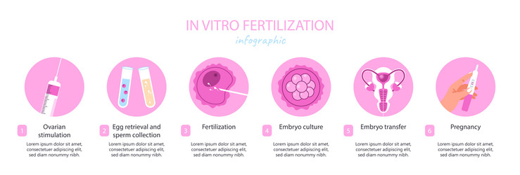 Infographic Infographics Ivf Vector Images (over 130)