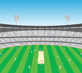 Cricket Ground Field Vector Images (over 380)