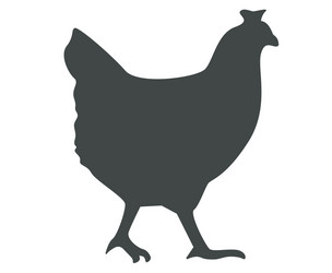Chick Side Chicken Vector Images (over 130)
