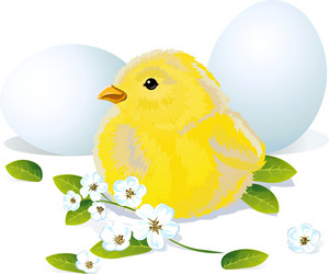 Easter and spring element Royalty Free Vector Image
