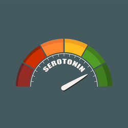 Hormone serotonin level scale concept of medicine Vector Image