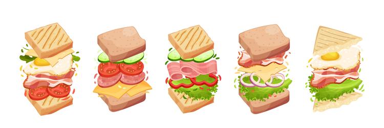 Fried eggs on toast bread and sandwich Royalty Free Vector