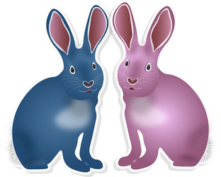 Cute pair of bunnies Royalty Free Vector Image