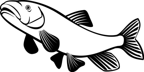 Remora Fish Drawing