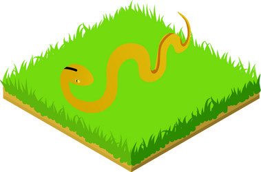 Yellow Snake Vector Images (over 1,300)