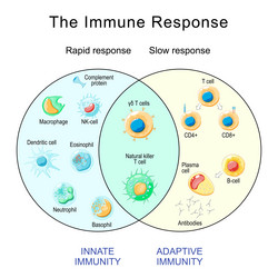 Response Vector Images (over 100,000)