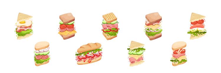 Sandwich with ingredient layers between bread Vector Image