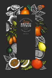 Citrus fruits design template hand drawn colour Vector Image