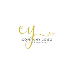Initial ey signature logo template hand drawn Vector Image