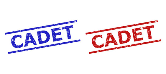 Cadet Vector Images (over 400)