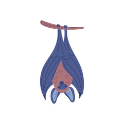 Funny bat hanging upside down on a branch Vector Image