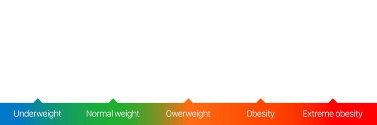Body Mass Index Infographic Vector Images (over 410)