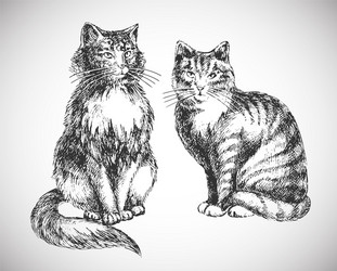 Cats Vector Images (over 400,000)