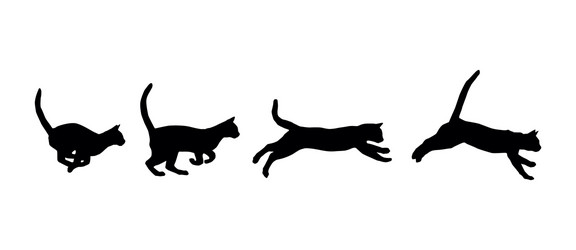 Cat Running Vector Images (over 2,800)