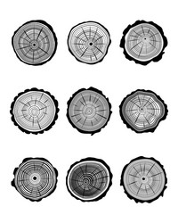 Cross section of trees seamless Royalty Free Vector Image