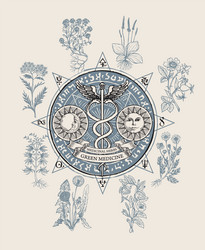 Herbal caduceus Royalty Free Vector Image - VectorStock