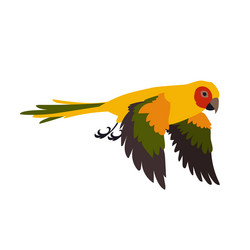 Colorful ara flying with spread wings Royalty Free Vector